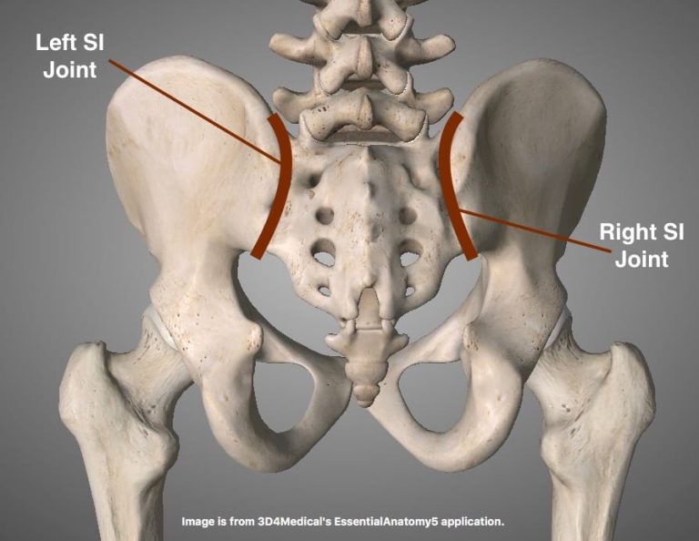 The Orofacial-Pelvic Connection – Cranial Connection